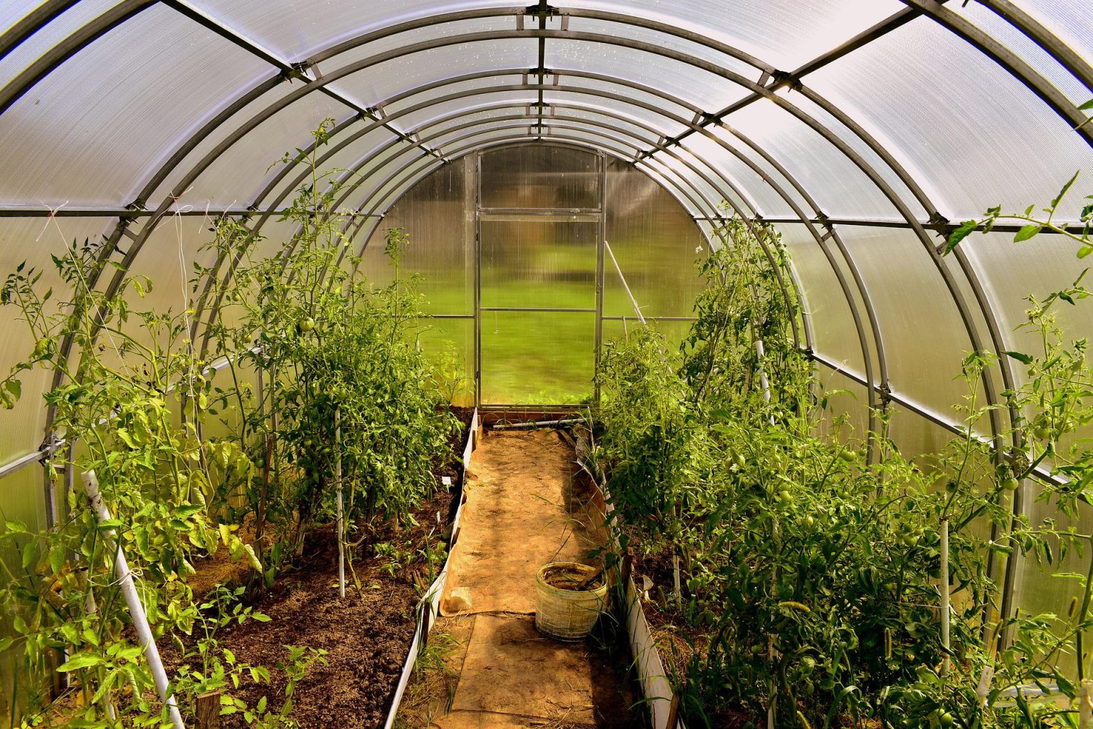 De beste kweektunnel voor jouw moestuin - Succesvol Tuinieren